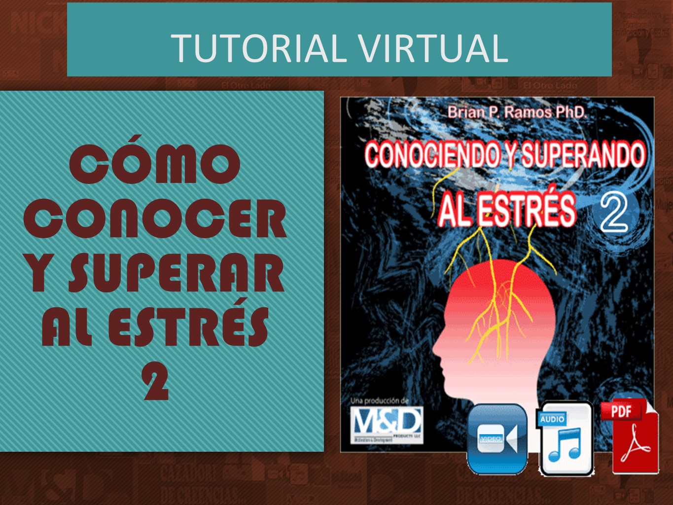 Cómo Conocer y Superar Al Estrés 2 - Solulife